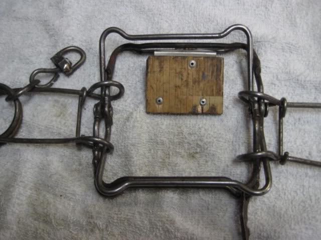 Trapping Supplies Review: Conibear Pans