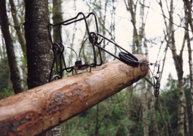 Trapping Supplies Review: Marten Trapping in Canada