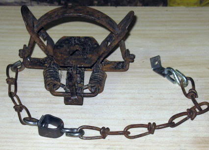 Trapping Supplies Review: Trap Preparation From Start To Finish