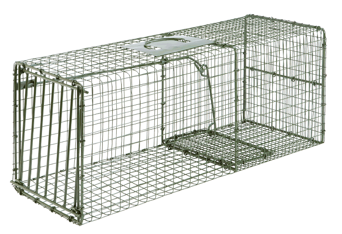 Trapping Supplies Review: Using Cage Traps