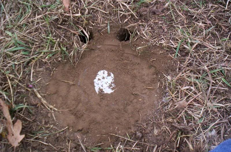 Trapping Supplies Review: Double-hole Trap Set for Fox