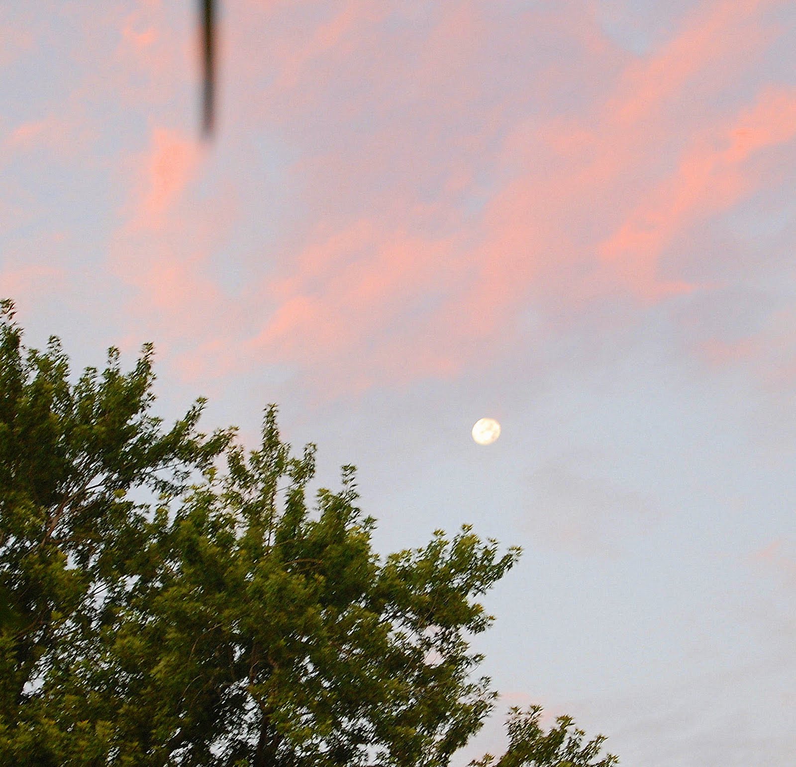 Mountain Mermaid: Monday