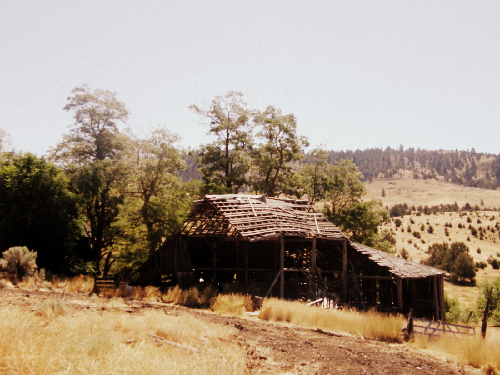 Mandeeland: The Ghost Town of Richmond, Oregon