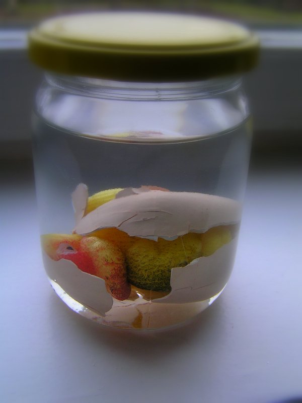 Päikesejänkud: Dinosauruse muna