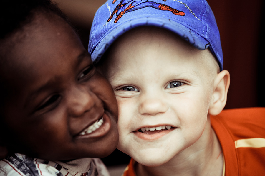 mitt fönster mot skogen: Bästa kompisar