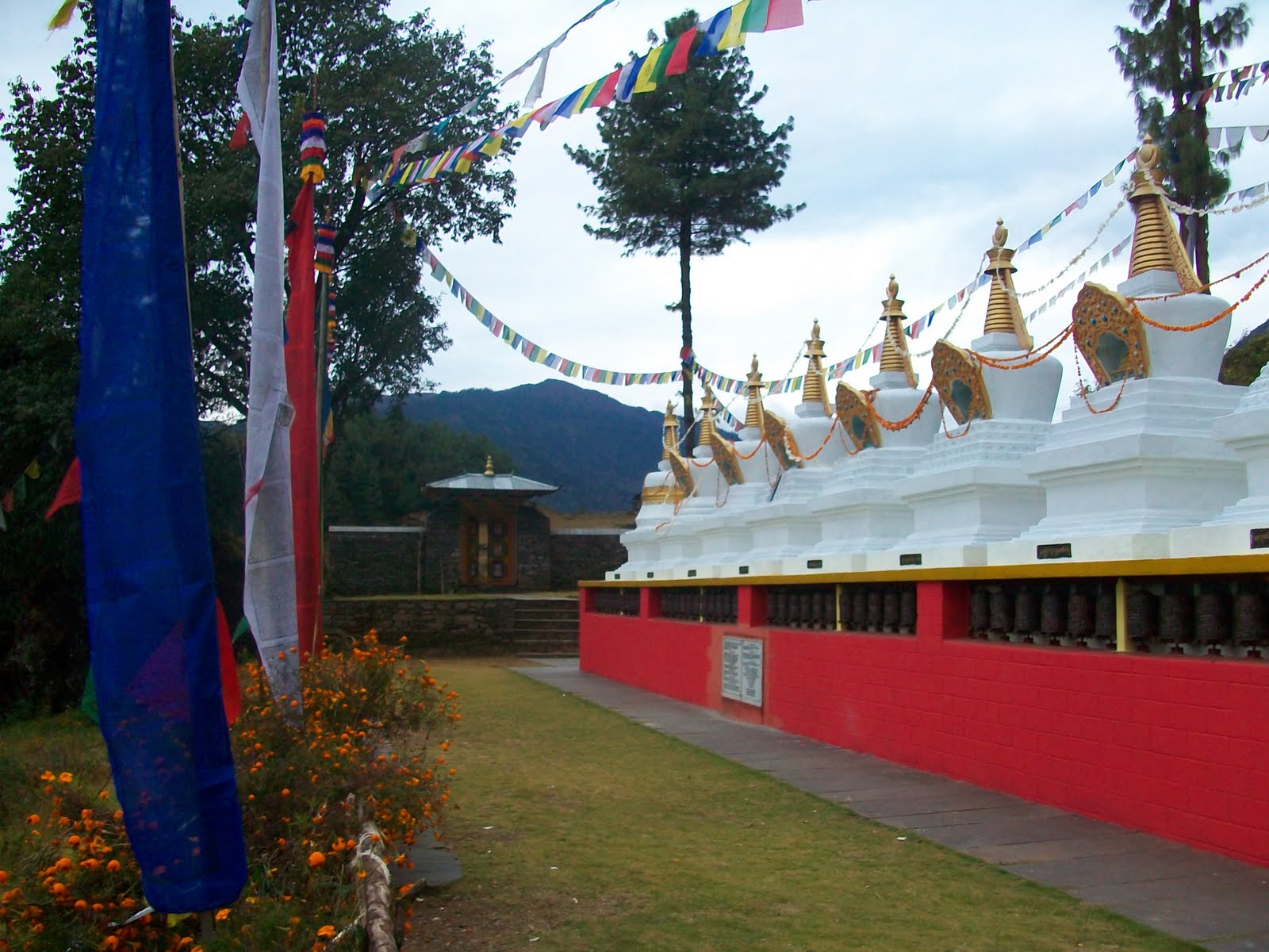 Ri's Adventures Abroad: Hikin’ into Bigu