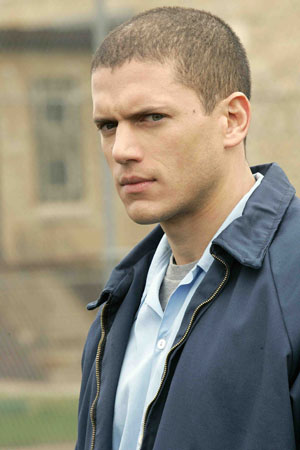 VAmrutiya's blog: Michael Scofield - My Hero
