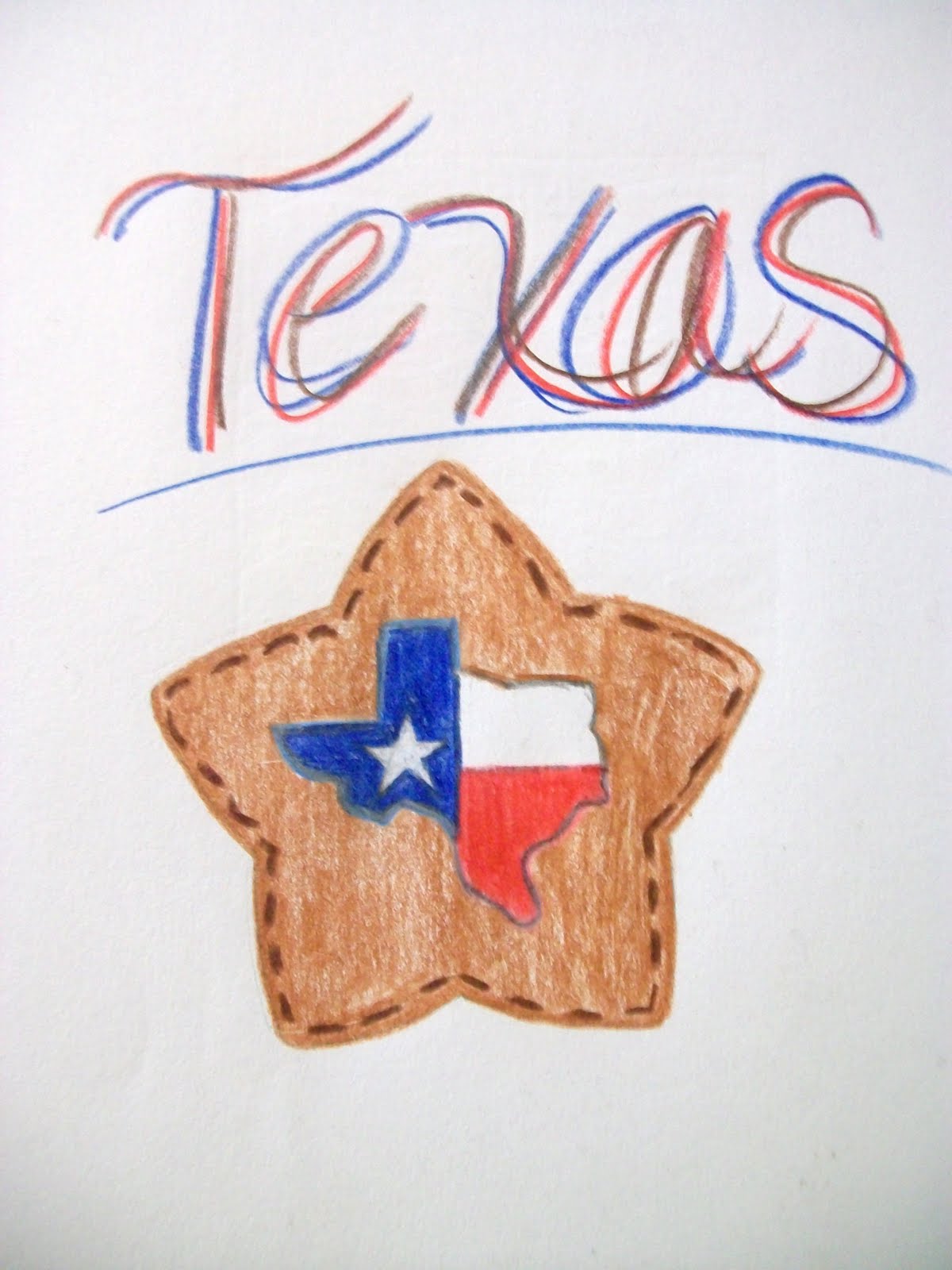 Dream It Up Cookies: Texas!