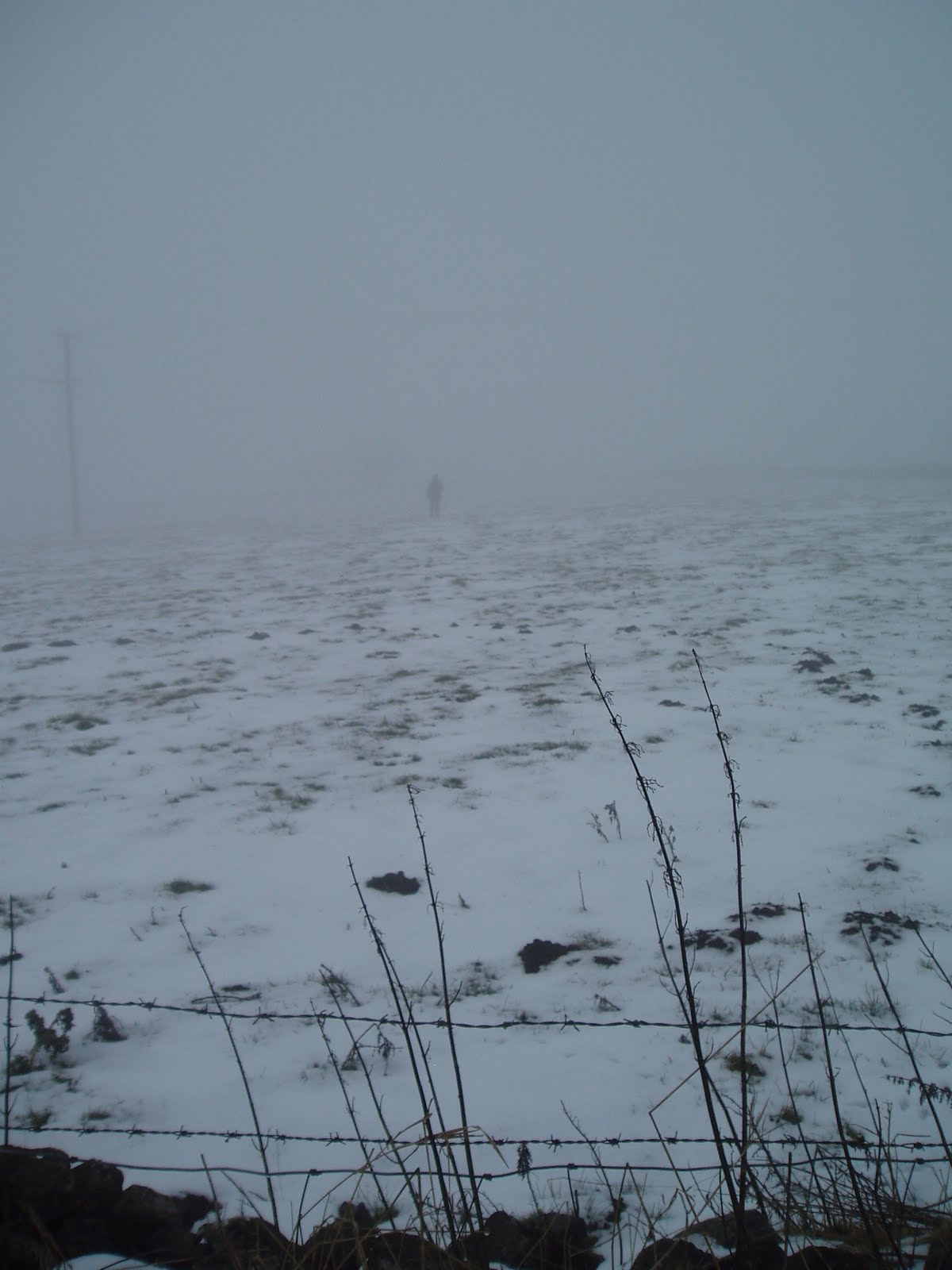 Karen Slatcher: Middleton Top, Slaley, Ible, Grangemill, Limestone Way ...