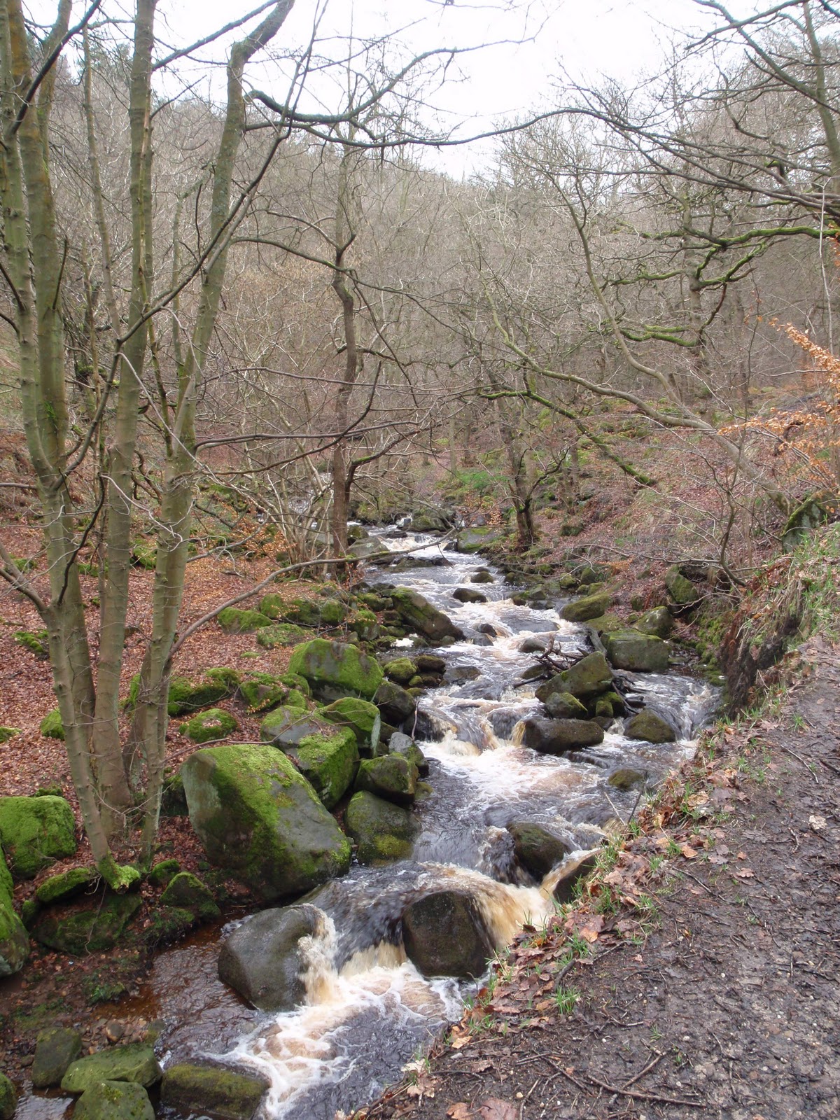 Karen Slatcher: Padley Gorge