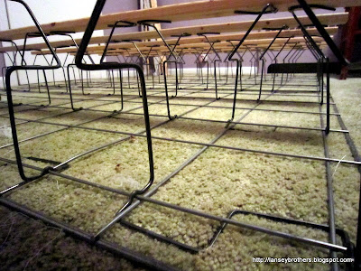 The Lansey Brothers' Blog: What's Inside a Box-spring? Project