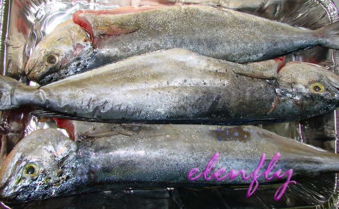 CookArt | by elenfly: ΨΑΡΙΑ ΨΗΤΑ (ΛΙΤΣΕΣ) - GRILLED FISH ( LITSA FISH)