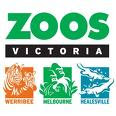 Zoo Jobs: Curator – Animals Werribee Open Range Zoo