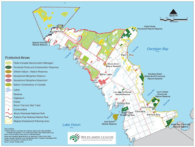 Ordovician-Silurian: Protected areas of the Northern Bruce Peninsula