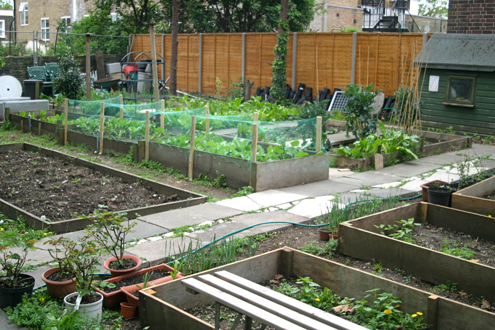 Beecholme and Environs - architectural and visual.: New Allotment Club ...