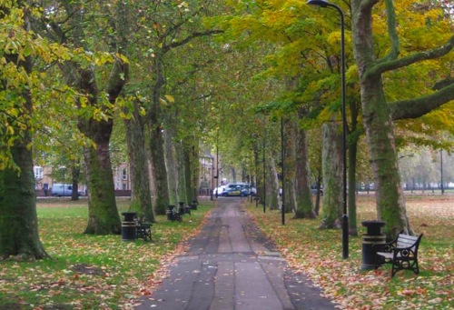Beecholme and Environs - architectural and visual.: Millfields (Park ...
