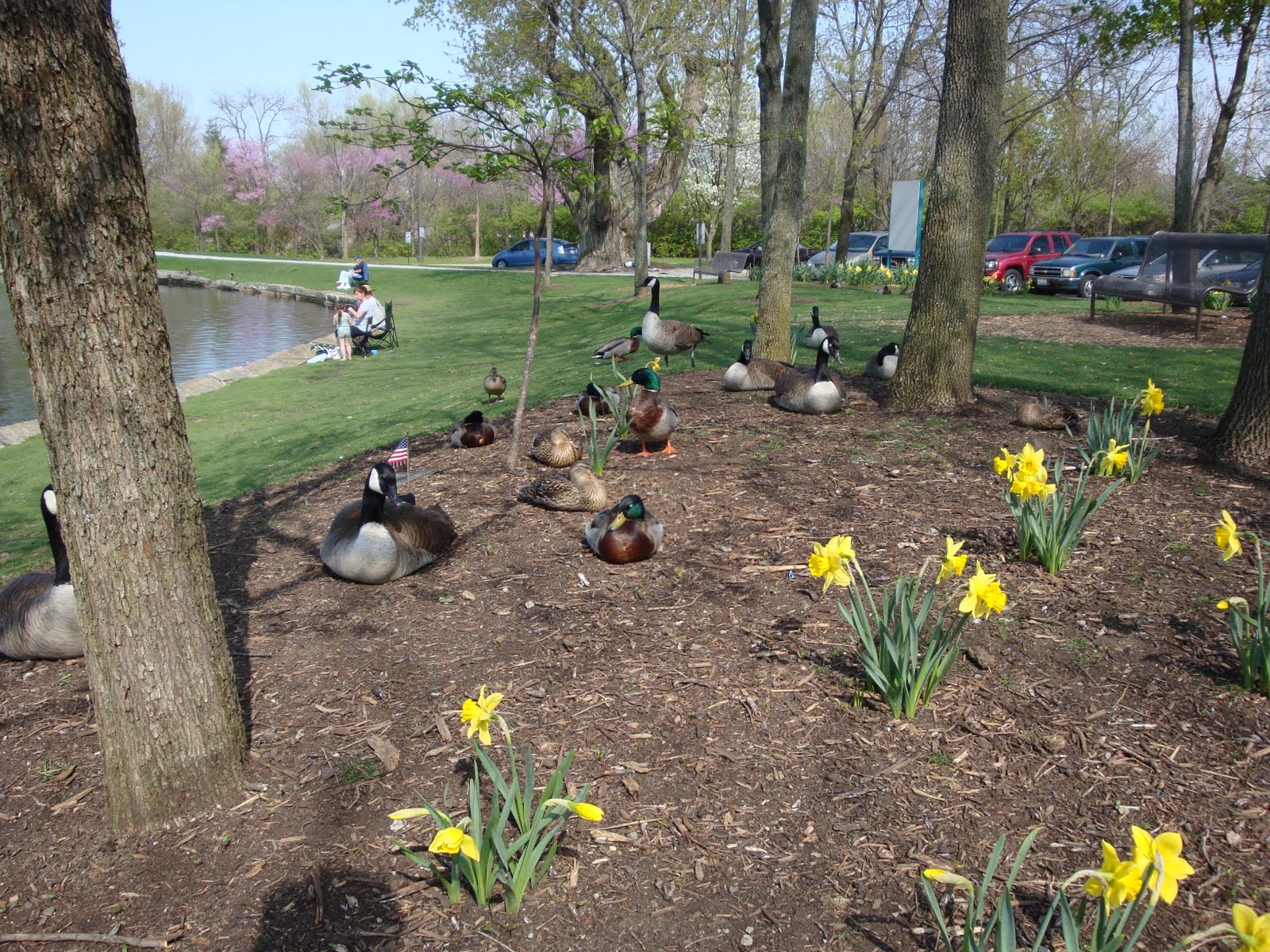Lincoln Park Commons Pond News Kettering, Ohio: Kettering Parks ...