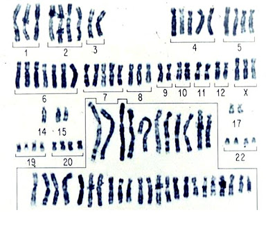 Paging the Doc?: A Unique Look