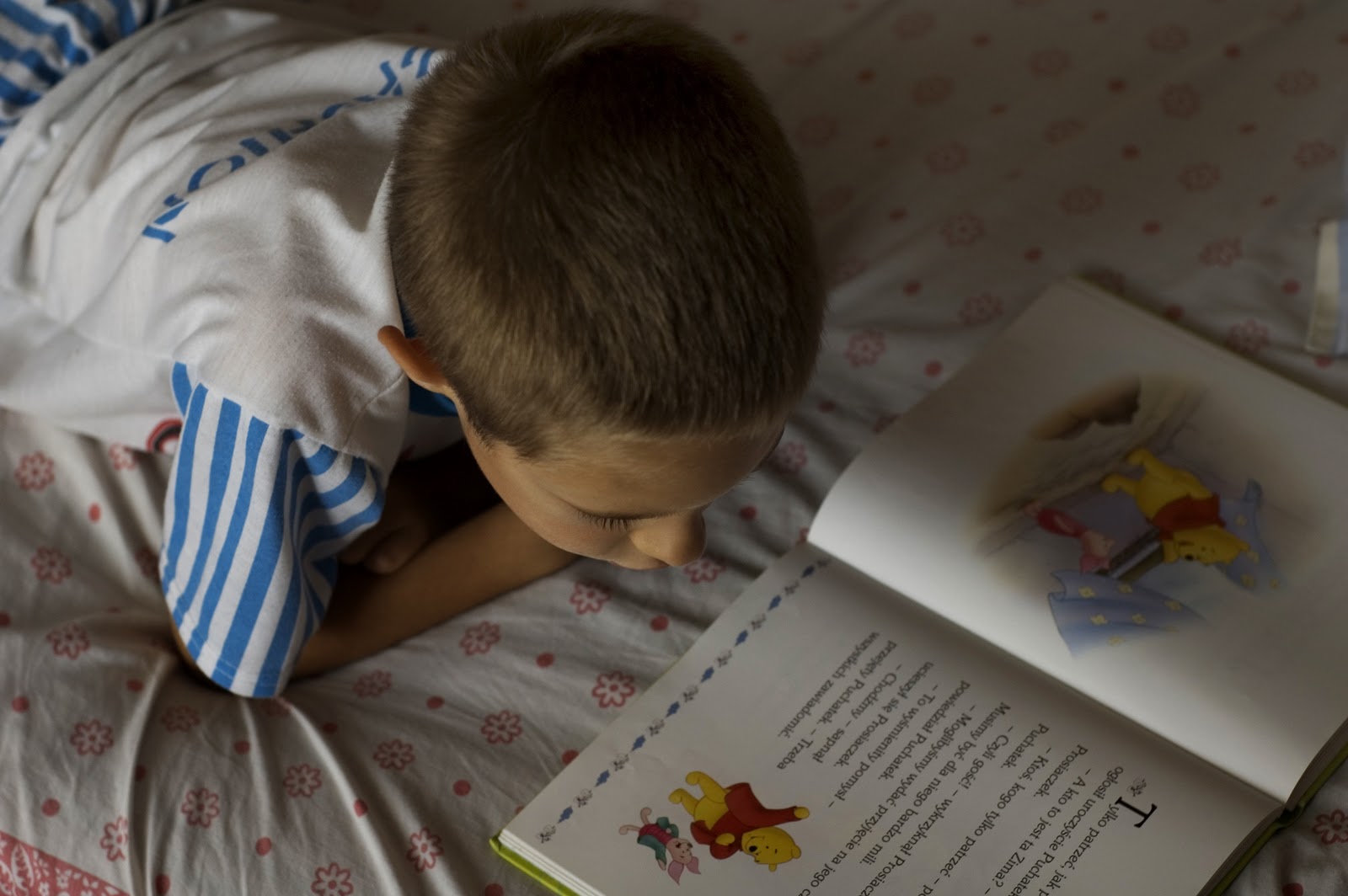 PSICOLINGÜÍSTICA: Lectura y Escritura: DESARROLLO DEL LENGUAJE DEL NIÑO ...