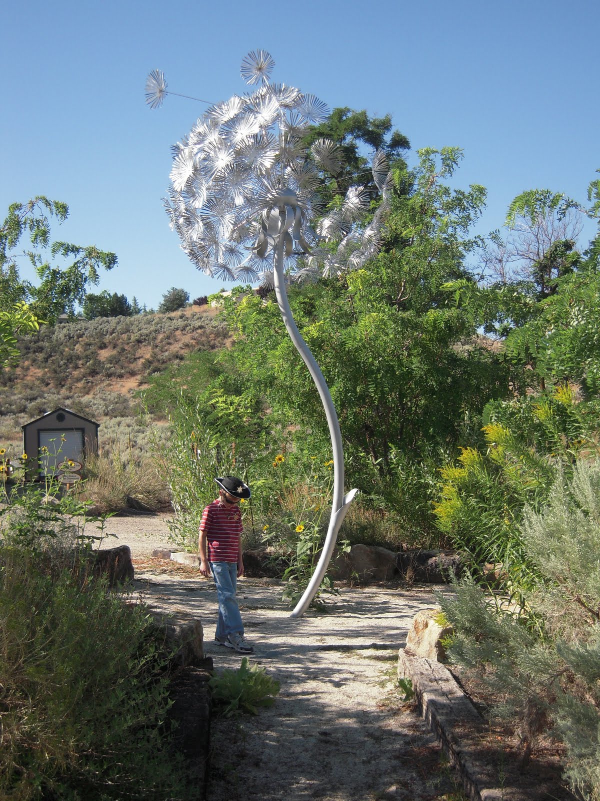 The Cambium Level...