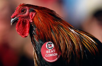 What are the best LIVE Mascots in College Football? : r/CFB