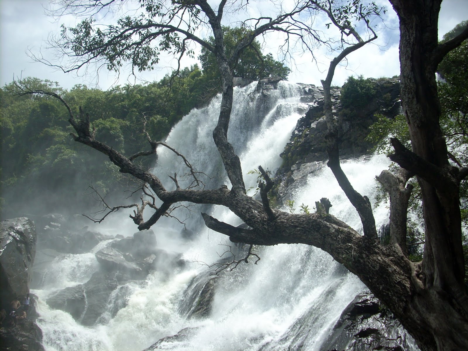 Tripping Life: Trip to the waters - Shivana Samudra