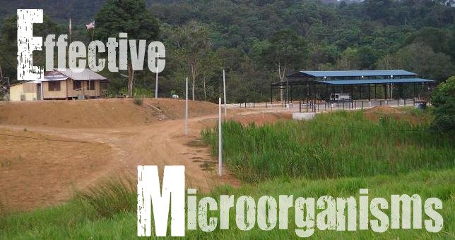 Effective Microorganisms