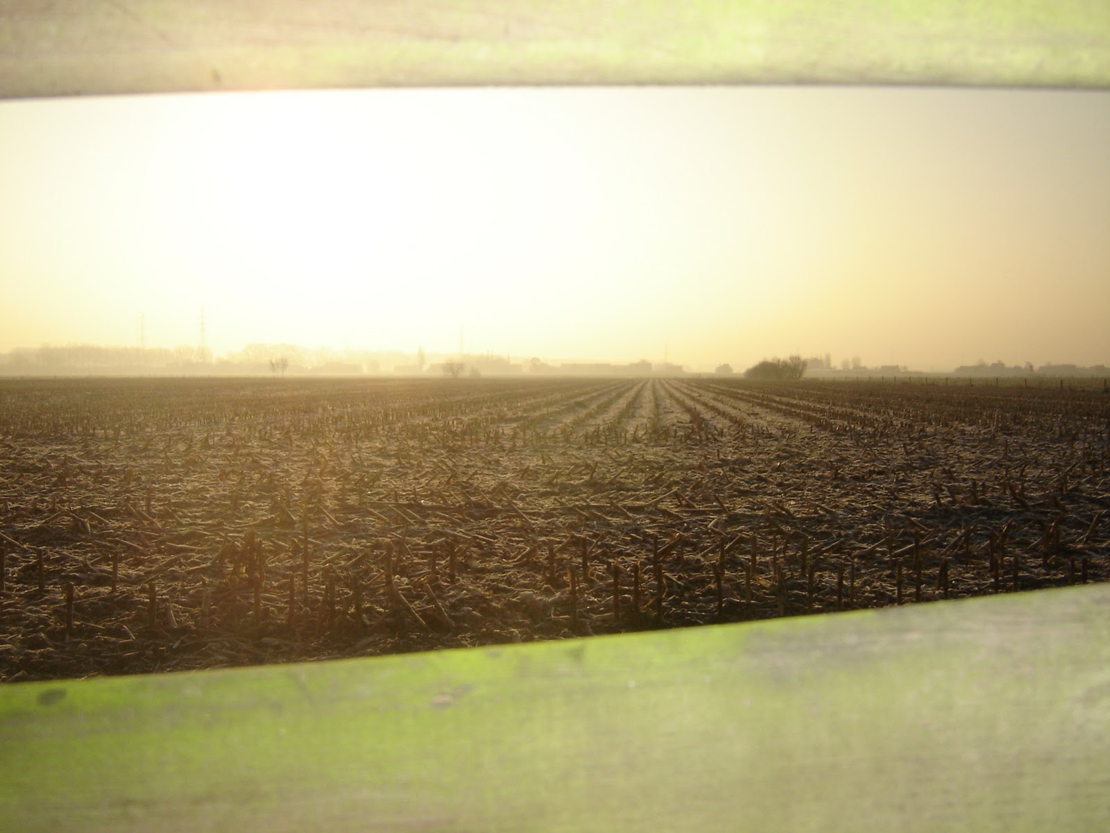 Jagen, vissen en nog veel meer: Als het vriest, jagen we op bosduiven ...