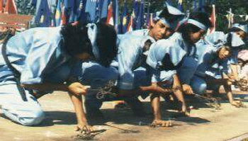 Informasi Wisata dan Budaya: Asal- Usul Kesenian Dabus