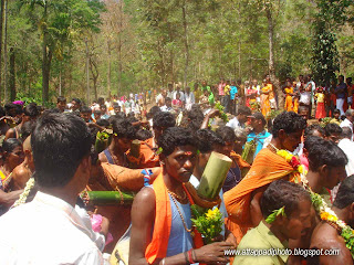 Attappadi ( Attappady ) photo gallary - photos,images,landscape ...