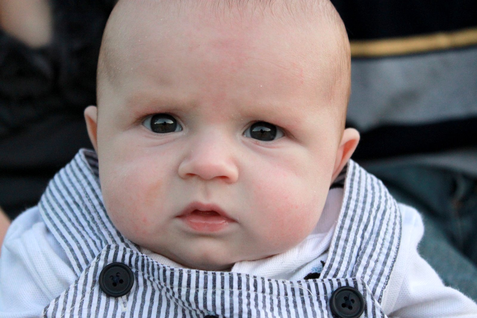 Ye Olde Sandwich Shoppe: Longbrake Living in Pictures