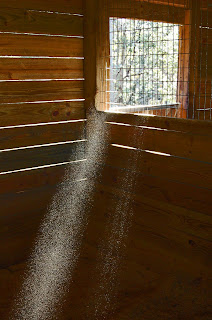 Santa Rita Farm: Pixie Dust In The Barn
