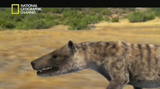 Prehistoric Predators - Prehistoric Hunters (2007) | Ikessauro