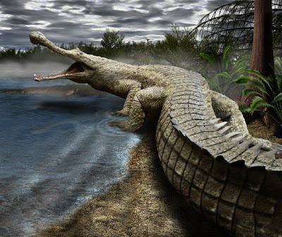 Sarcosuchus | Ikessauro