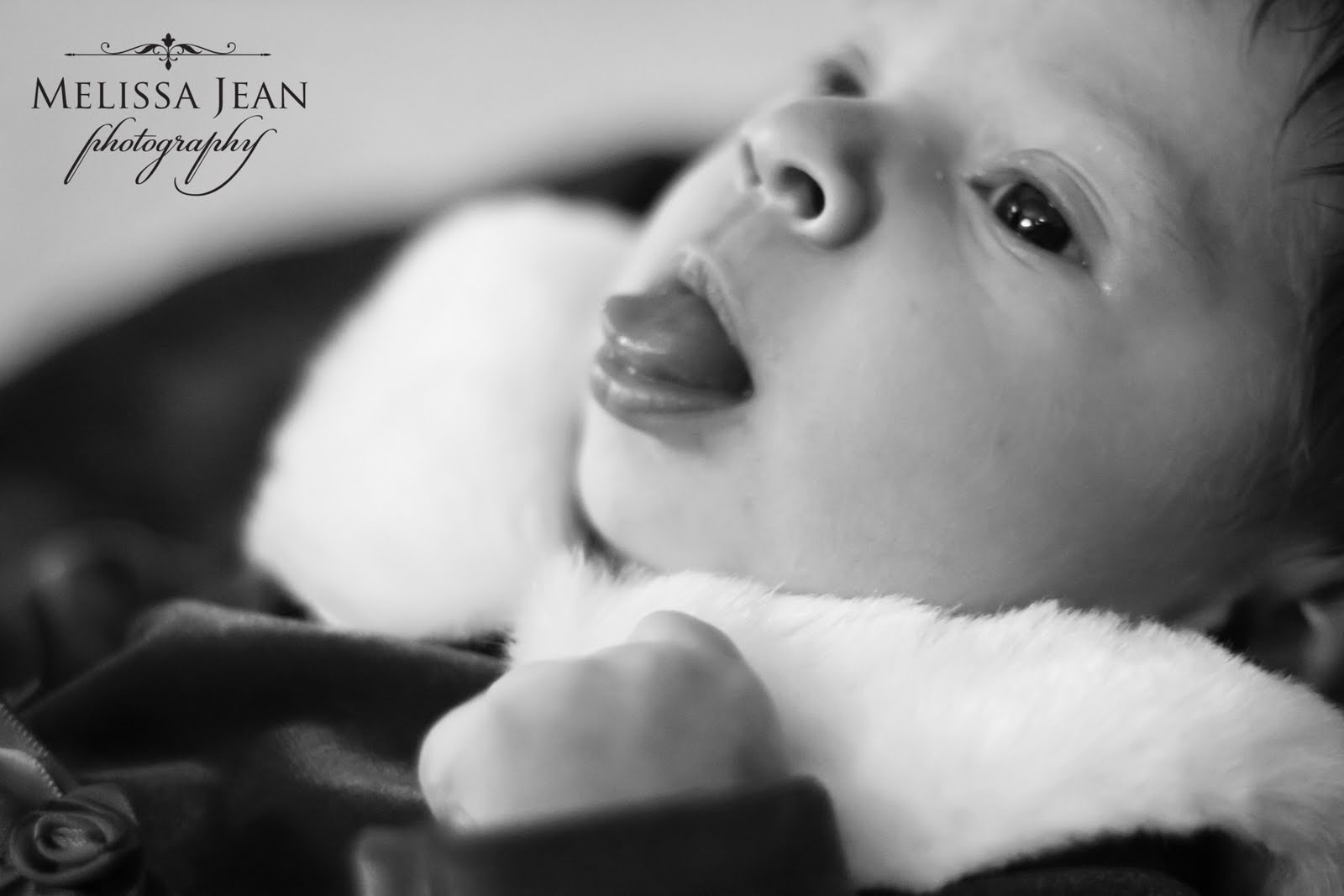 Melissa Jean Photography: Newborn Photographer Paso Robles | Audrey