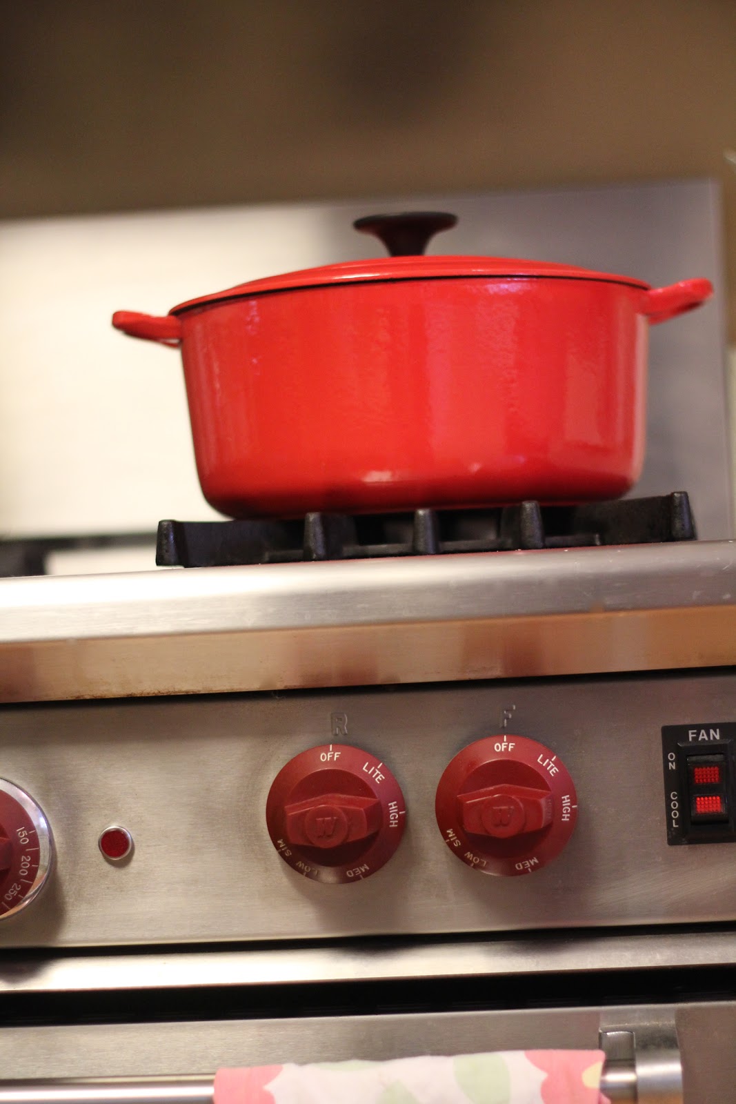 What am I going to be when I grow up?: The Big Red Pot: Sausage Soup