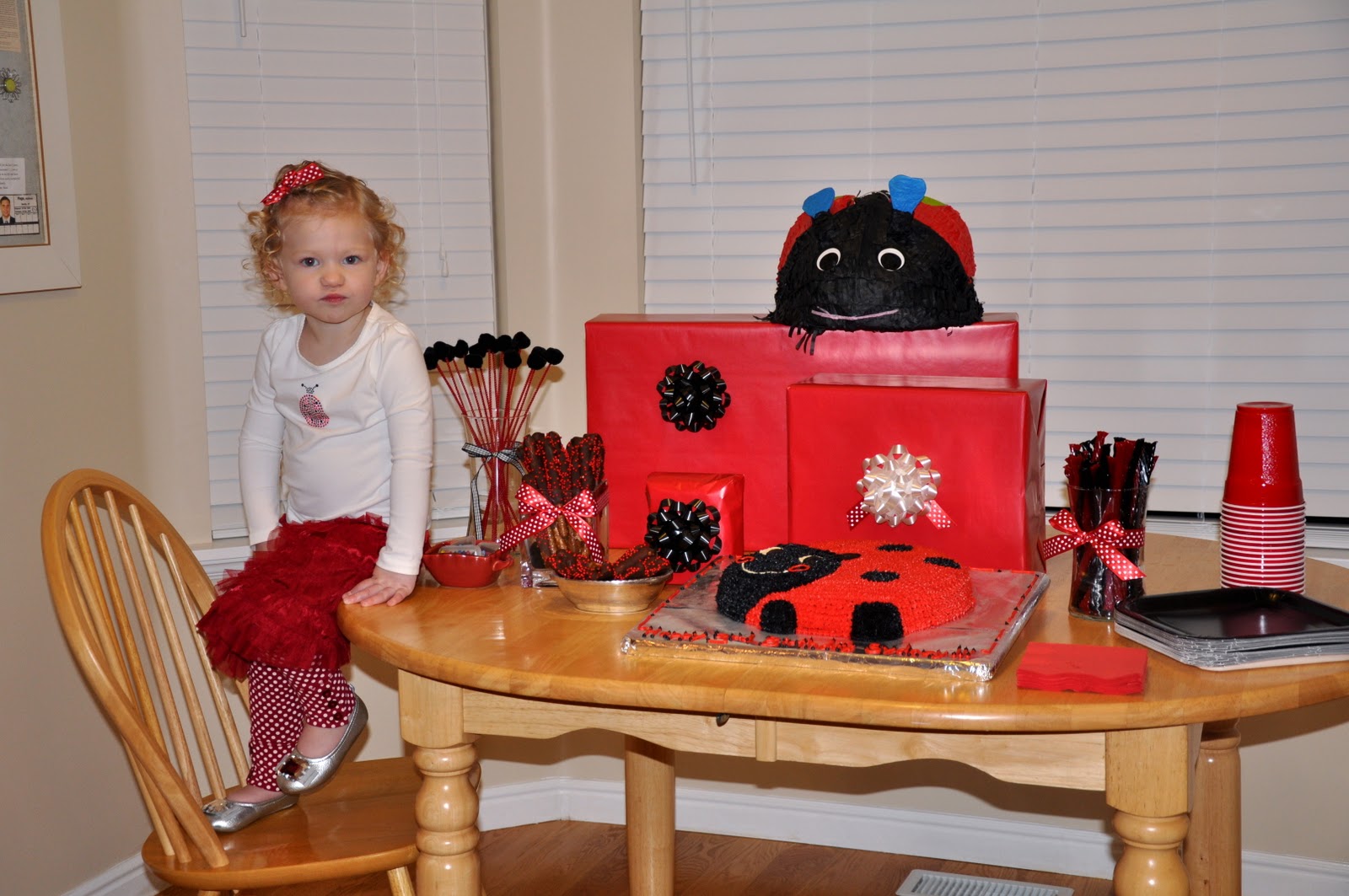 The Pages: Sydney's Ladybug Party