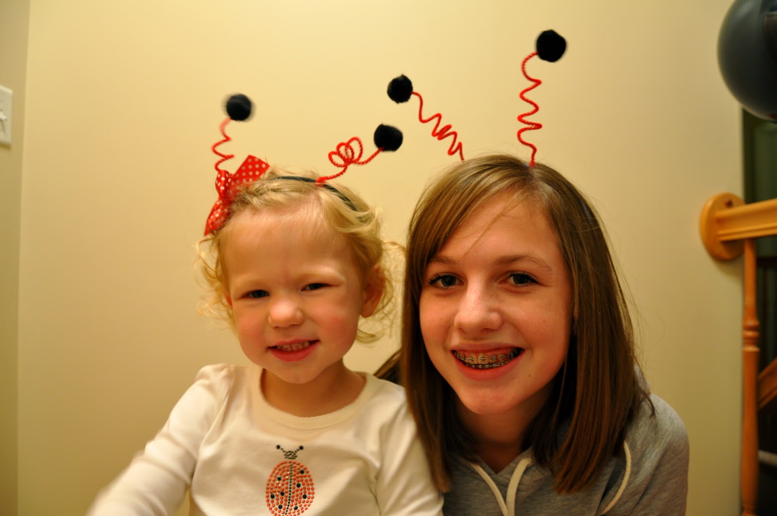 The Pages: Sydney's Ladybug Party