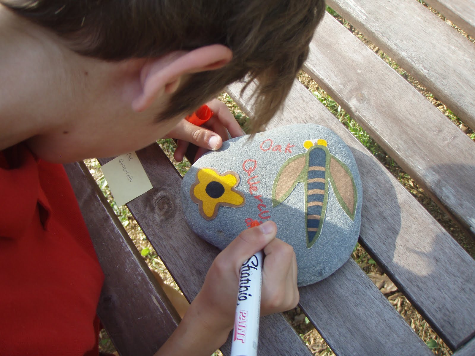 Natural Kids: Little Nature Guides!