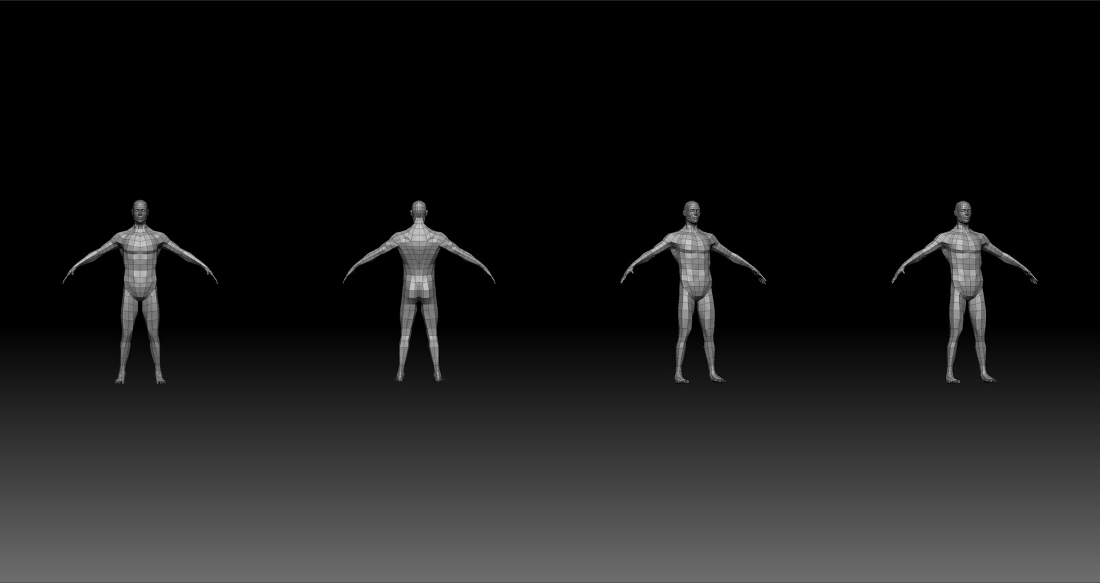 EBU: male anatomy study + retopology