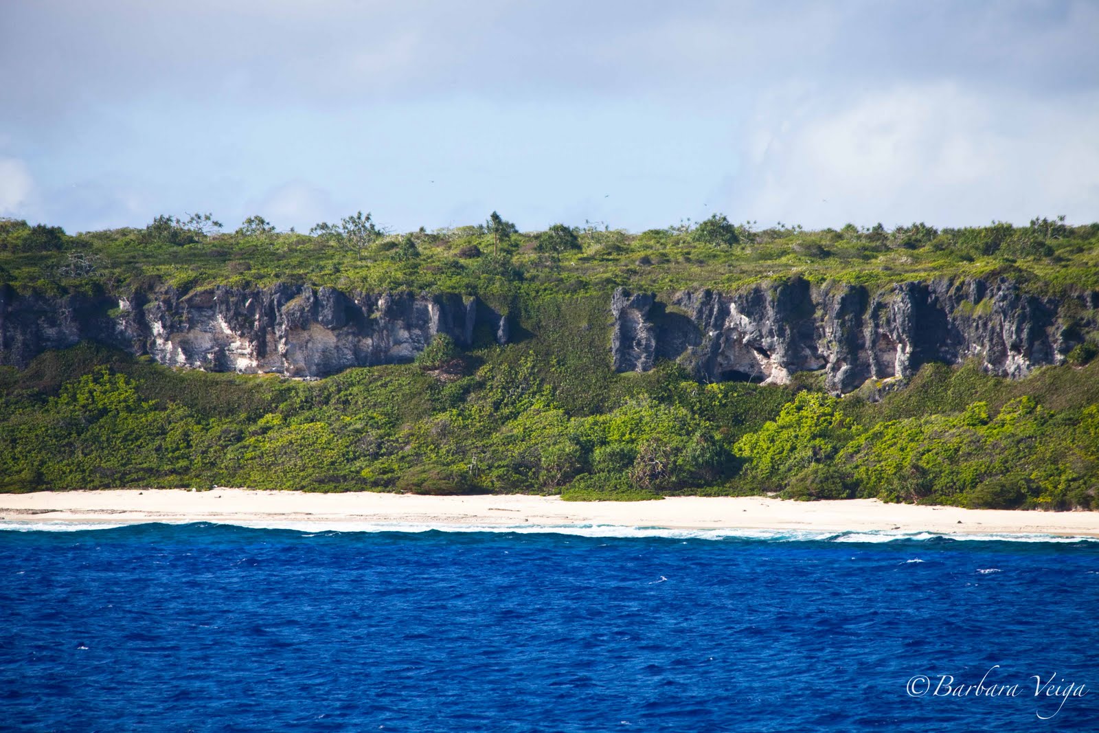 Barbara Veiga: -Henderson Island-