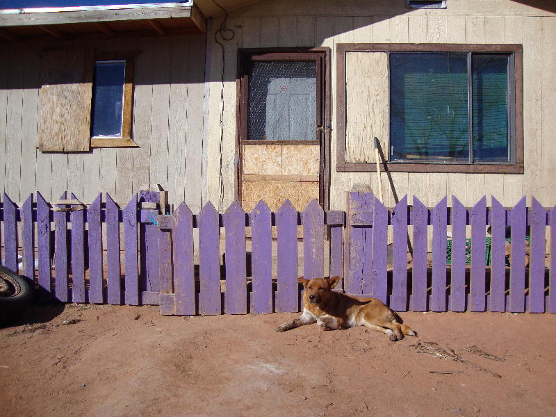 Around the Rez: Pets on the Rez