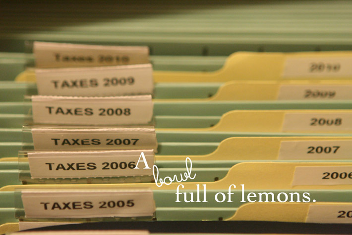 Organizing my filing cabinet! | A Bowl Full of Lemons