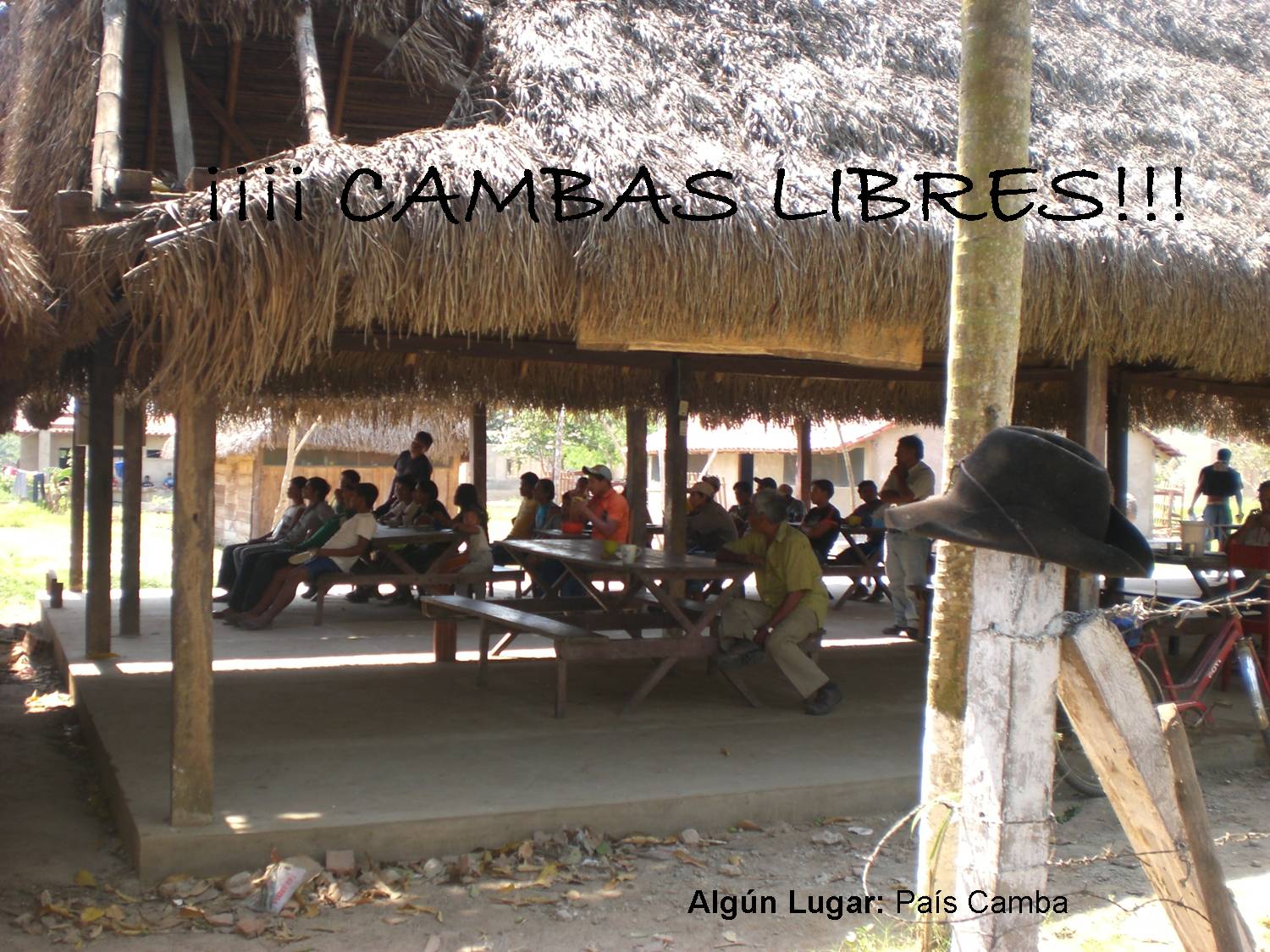 CAMBAS LIBRES: ORGANIZACION Y MOVILIZACION CAMBA