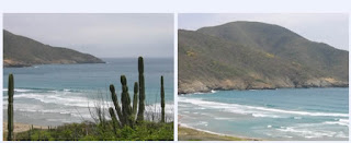 bienvenidos a neguanje: bienvenidos a neguanje