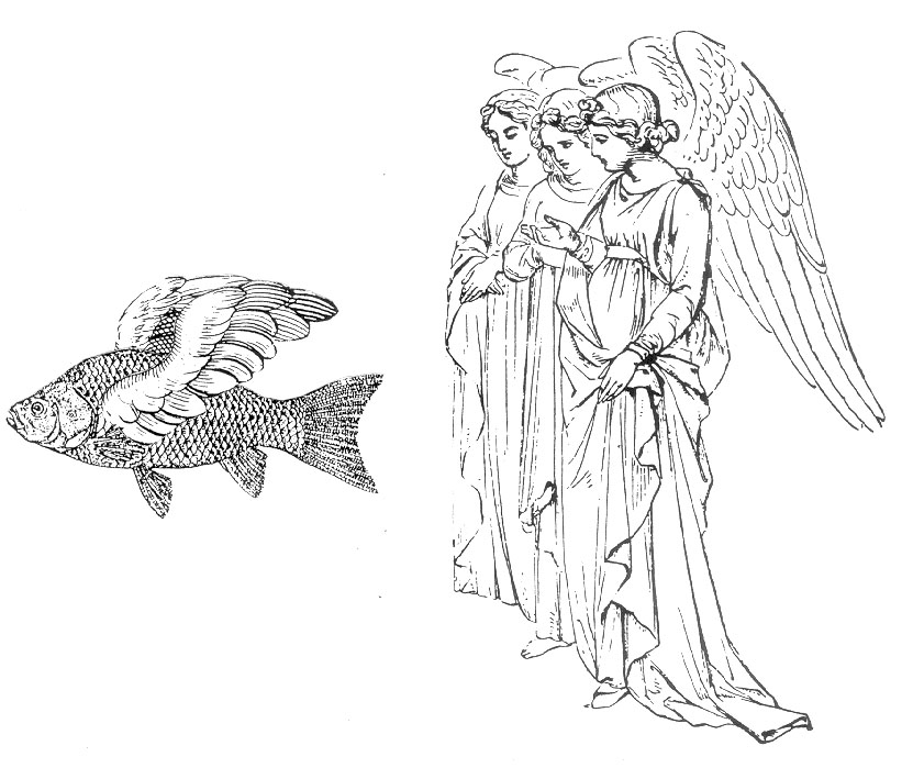 Stuff You Can't Have: Your First Dead Goldfish - Part 2