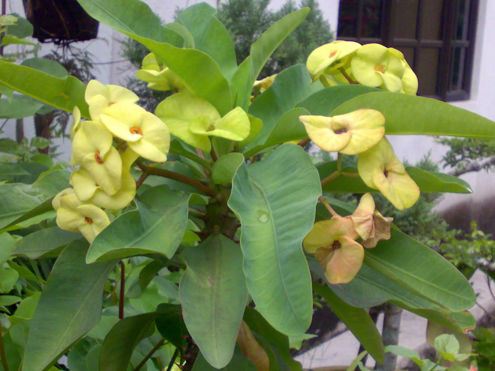 LEBIH BAIK JADI BEKAS ORANG JAHAT DARI BEKAS ORANG BAIK: BERBUDI PADA ...