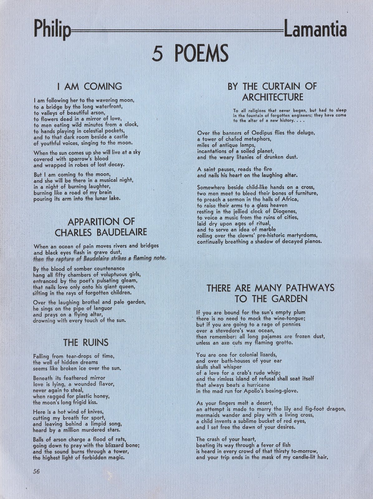 the glade of theoric ornithic hermetica: ¡¡¡ Viva Lamantia