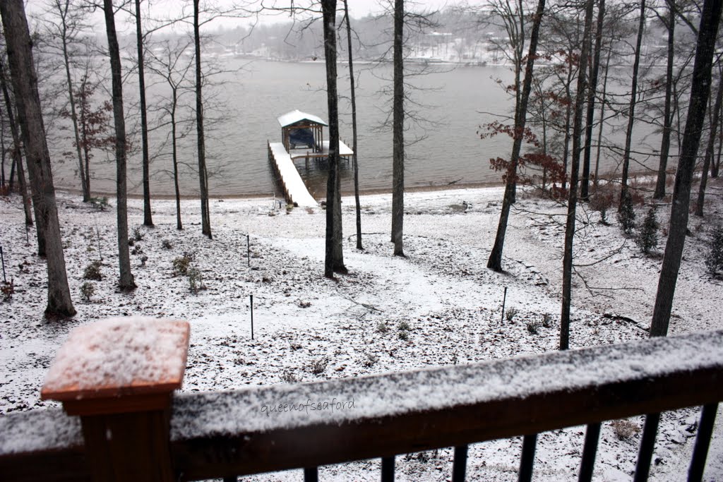 The Queen of Seaford: Christmas Snow in South Carolina