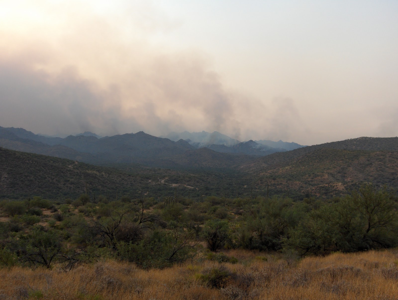 Walking Arizona: Desert wildfire